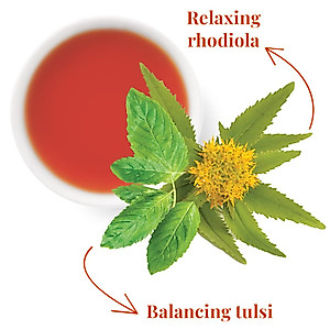 The Republic of Tea - SuperAdapt Stress Suppress Herbal Tea, 36 Tea Bags, Organic, Caffeine Free, Tulsi and Rhodiola Herbal Tea