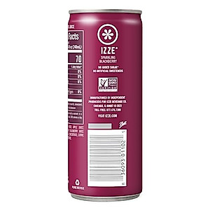 IZZE Blackberry Juice, No Sugar Added, 8.4 oz., 24/Carton