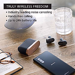 Sony WF-1000XM3 Industry Leading Noise Canceling Truly Wireless Earbuds Headset/Headphones with AlexaVoice Control And Mic For Phone Call, Black
