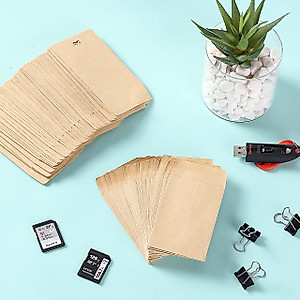 Mr. Pen- Kraft Coin Envelopes, 2.25" x 3.5", 100 Pack, Kraft Envelopes, Seed Envelopes, Small Envelopes, Gift Card Envelopes, Mini Envelopes, Key Envelopes, Seed Packet Envelopes, Stamp Envelope