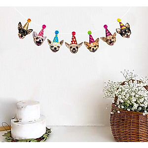Chihuahua Dog Birthday Garland, Funny Chichi Portraits Party Decor, Dog Face Bunting Banner