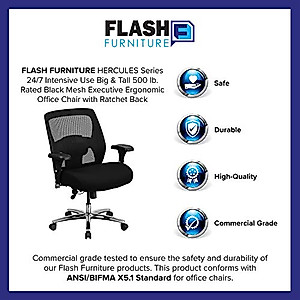 Flash Furniture HERCULES Series 24/7 Intensive Use Big & Tall 500 lb. Rated Black Mesh Executive Ergonomic Office Chair with Ratchet Back