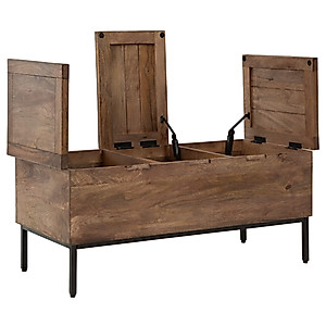 Signature Design by Ashley Braddick Trunk, Light Brown and Black