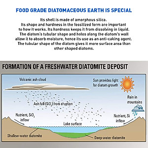 EasyGoProducts Diatomaceous Earth - 100% Natural Food Grade - DE Fresh Water - 1.25 Pounds (EGP-DE-01)