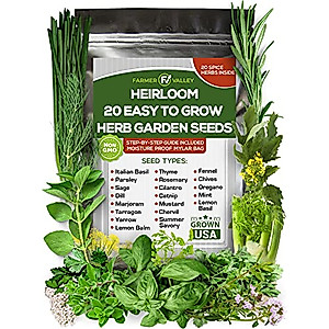 20 Most Needed Spice Seeds for Home Gardening - Kitchen & Culinary Herb Plant Seeds for Indoor, Outdoor, and Hydroponic Growing, Including Basil, Parsley, Rosemary, Mint & More