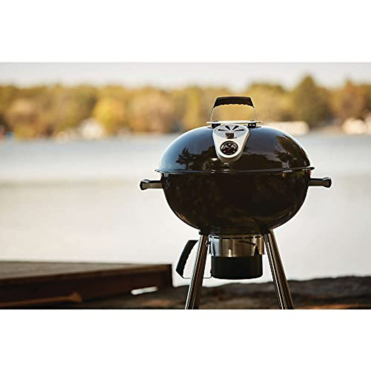 Napoleon NK22K-LEG-2 Built in Grills, Black