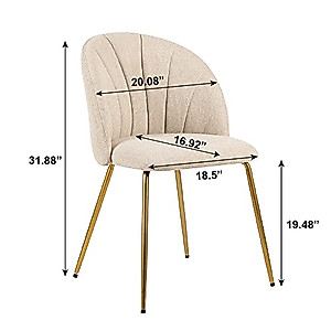 GIA Home Furniture Series Mid-Century Modern Dining Chair with Tufted Beige Velvet Upholstery, Set of 2, Gold