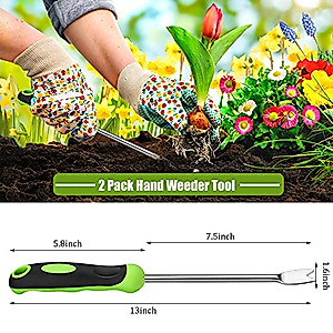 Hand Weeder Tool Garden Weeding Tool Gardening Weeder Tool with Ergonomic Handle, Stainless Steel Garden Lawn Farmland Transplant Gardening Plant Tool（2 Pronged Fork, 2 Pieces）