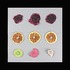 Auroal 10 Pack Silicone Dehydrator Sheets, Apply to dehydrator & Freeze Dryer, Non Stick Dryer Mats, for Meat, Beef, Jerky, Herbs, with High Temperature Resistance Easy to Clean, Square 14x14 in