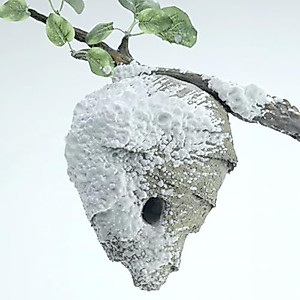 Raid Max Foaming Wasp & Hornet Killer, Fast Coverage Foam, Bug Killer Kills The Entire Nest, 16.5 oz