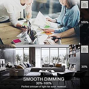 INTWELL 10W H Track Lighting Heads,Dimmable LED Track Light Heads for Accent Retail Artwork,4000K Netural White, Linear Track Light H Type - 120V 24°Angle Halo Type 16Pack (Black)