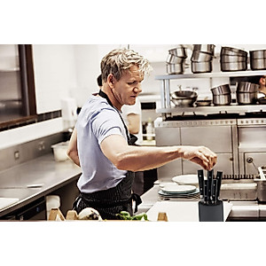 Royal Doulton Exclusively for Gordon Ramsay Knives 2-Piece Carving Set