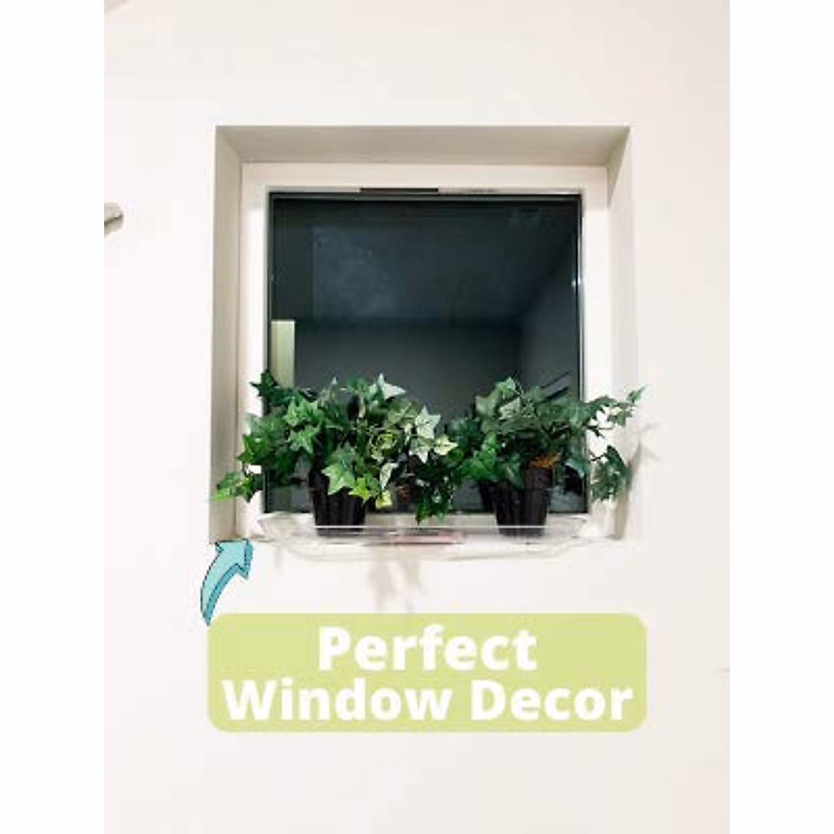 ILUVUMOREI Oval 2 Pack of 18 by 6.5 Inches Clear Plant Saucer, Thicker, Durable Flower Pot Planter for Indoors or Outdoors, Window Sills and Shelves (2 Pack - 18")