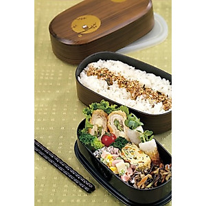 たつみや HAKOYA Range Club 51120 Men's Oval Wood Grain Bento Box, Tochi-Wood Owl