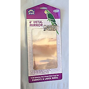 Votoy Parrot Mirror Stainless Steel