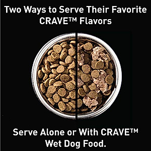 CRAVE Grain Free High Protein Adult Dry Dog Food with Lamb, 22 lb. Bag