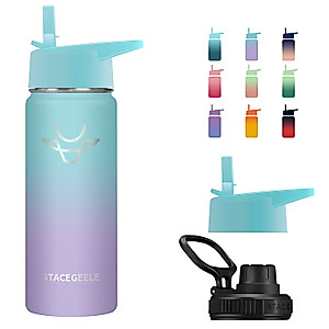 STACEGEELE Insulated Vacuum Water Bottle for Kids with Straw Lid Stainless Steel Flask Thermos for Boys and Girls Leak Proof Lightweight Eco Friendly 18oz(550ml),Springbank