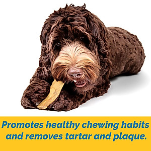 123 Treats Beef Cheek Chips Beef Basted Dog Chew 6" (2 pounds) All Natural Chews for Dogs | Great Rawhide Alternative