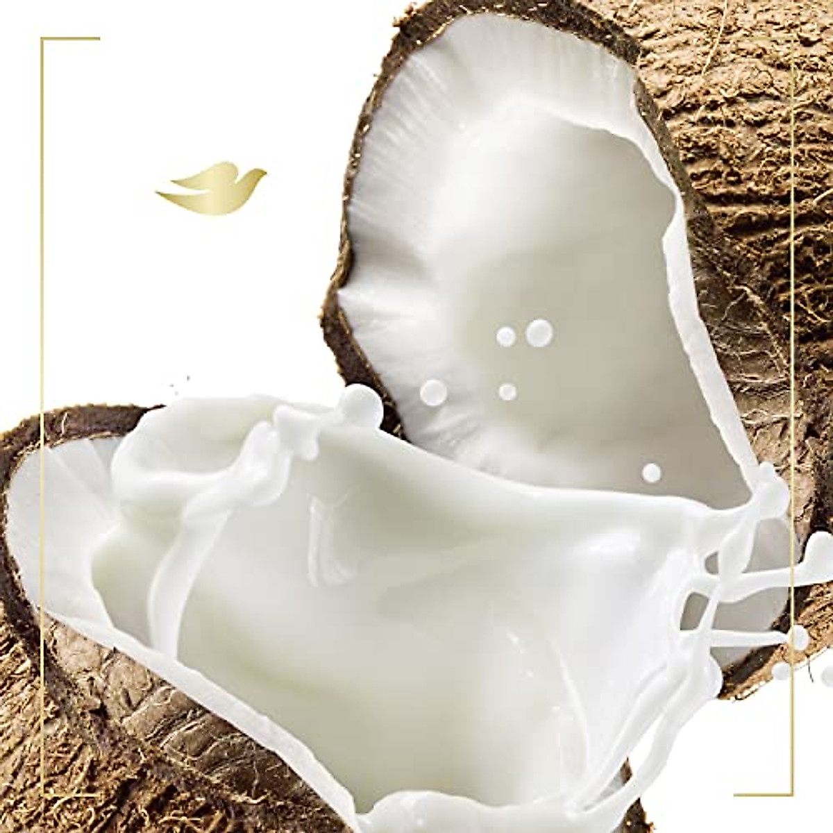 Dove Purely Pampering Body Wash for Dry Skin Coconut Butter and Cocoa Butter Effectively Washes Away Bacteria While Nourishing Your Skin 22 oz 4 count