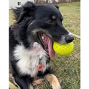 Chew King Supreme Rubber Fetch Balls - Extremely Durable Natural Rubber Toy, 2.5 inch, Yellow (CM-10066-CS01), 2.5" (Medium)