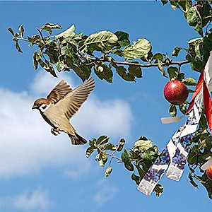 HICI Bird Reflective Tape Bird Repellent Scare Tape Scare Ribbon Red Bird Deterrent 325FTx1