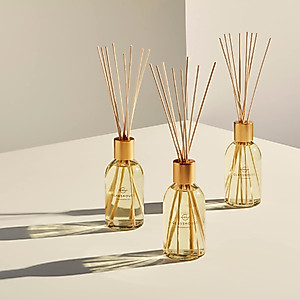 Glasshouse Fragrances The Hamptons Reed Diffuser, Home Fragrance & Perfume Scented Room Decor, Natural & Oil Free, Teak & Petitgrain, 8.5 Oz (250mL)