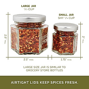 Gneiss Spice Basic Kit | 12 Magnetic Spice Jars Filled With Organic Seasonings (Small Jars)…