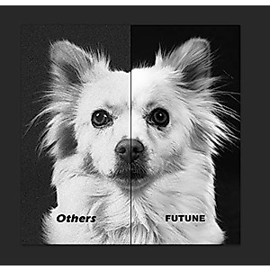 2PK D118L Toner Compatible MLT-D118L MLT D118L Toner Replacement for Samsung MLT-D118L D118L Toner Cartridge for use in Samsung M3015DW & M3065FW 2 Pack by FUTUNE