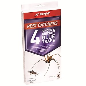 J T Eaton, 12-Pack, White