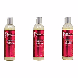 [ VALUE PACK OF 3] Mielle Organics Mongongo Oil Exfoliating Shampoo 8oz