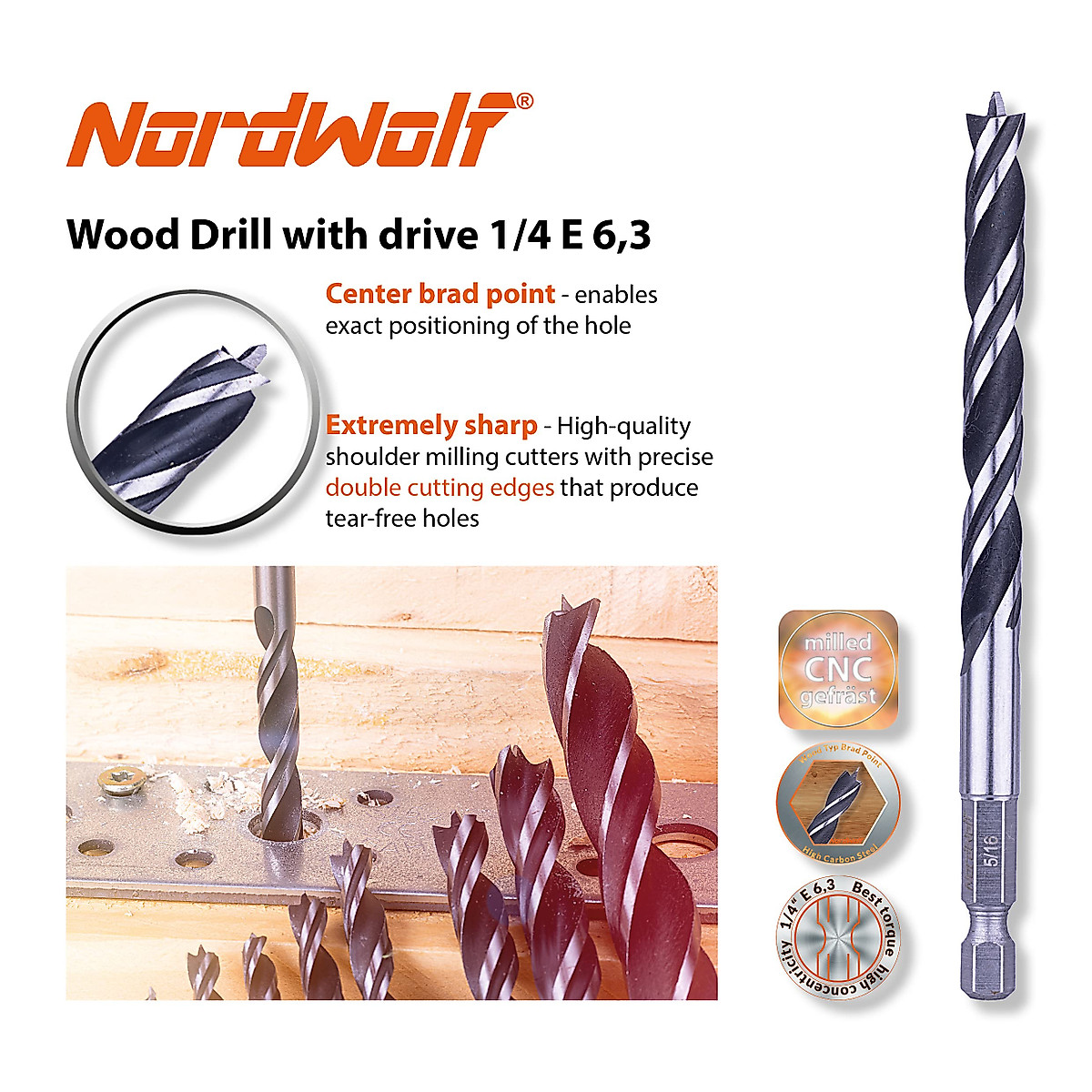 NordWolf 12-Piece Brad Point Wood Drill Bit Set for Carpenter Woodworking, Double Flutes Design with 1/4" Hex Shank, SAE Sizes 1/8" to 1/2"