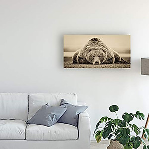 Trademark Fine Art Deep Sleep by PHBurchett, 24x47, Black