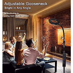 vividstarry Modern LED Floor Lamp with Remote & Touch Control, 2700K-6500K Bright Dimmable Floor Reading Lamp for Living Room/Bedroom/Office, Gooseneck Task Lights 10-100% Brightness Adjustable,Timer