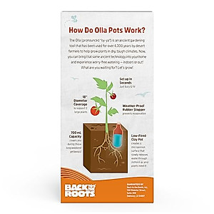 Back to the Roots Self-Watering Terracotta Olla Pot, 700mL Provides 1 Week of Precision Watering