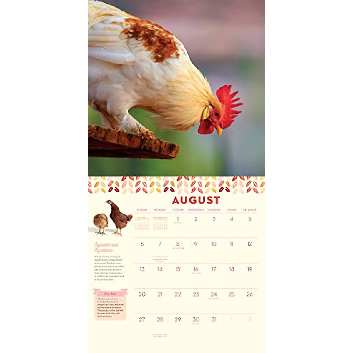 How to Speak Chicken Wall Calendar 2023: A Year of Chickens Doing What They Do & Saying What They Say