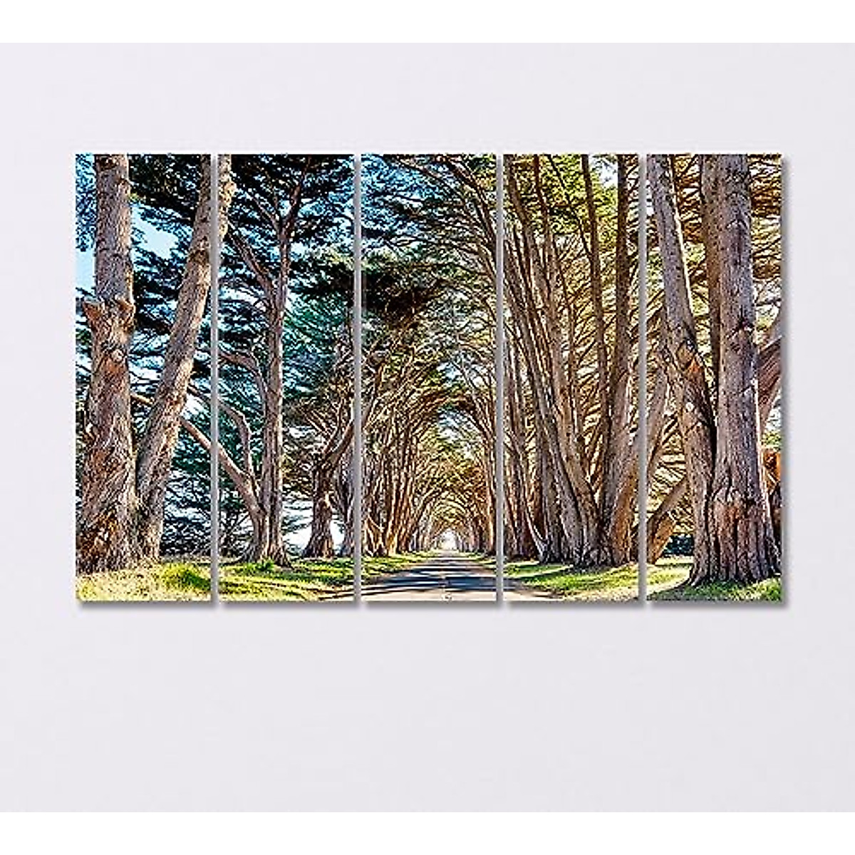 Tree Tunnel at California USA Canvas Print 3 Panels / 36x24 inches