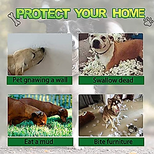 Confote 48" Stackable Heavy Duty Dog Kennel Pet Stainless Steel Crate Cage for Small Dogs with Tray in-Door Foldable & Portable for Animal Out-Door Travel