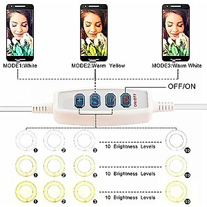 BOWER 24 Inch Clip on Desk Ring Light - Flexible Arms, 36 LED Lighting with 3 Light Modes and 10 Brightness Levels, Heavy Duty Clamp, and Built-In Phone Holder