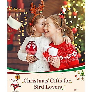 BOLITE 18016-R Hummingbird Feeder, Glass Hummingbird Feeder for Outdoors, Meshy Texture Ball Shape Bottle, 18 Ounces, Red, Xmas Gifts for Bird Lovers