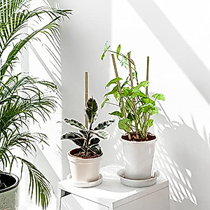 Plant Stakes,Stroller 20PCS Natural Bamboo Garden Plant Sticks for Indoor and Outdoor Plants,18 Inches Plant Support Stakes for Tomatoes,Flowers,Potted Plants