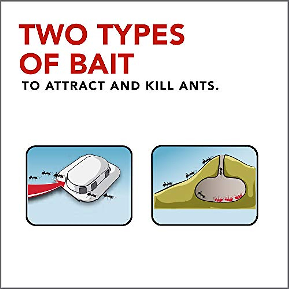 Raid Double Control Ant Baits, 4 CT (Pack - 1), plain