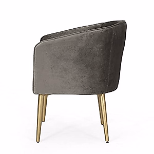 Christopher Knight Home Deshler Dining ARM Chair, Gray + Gold