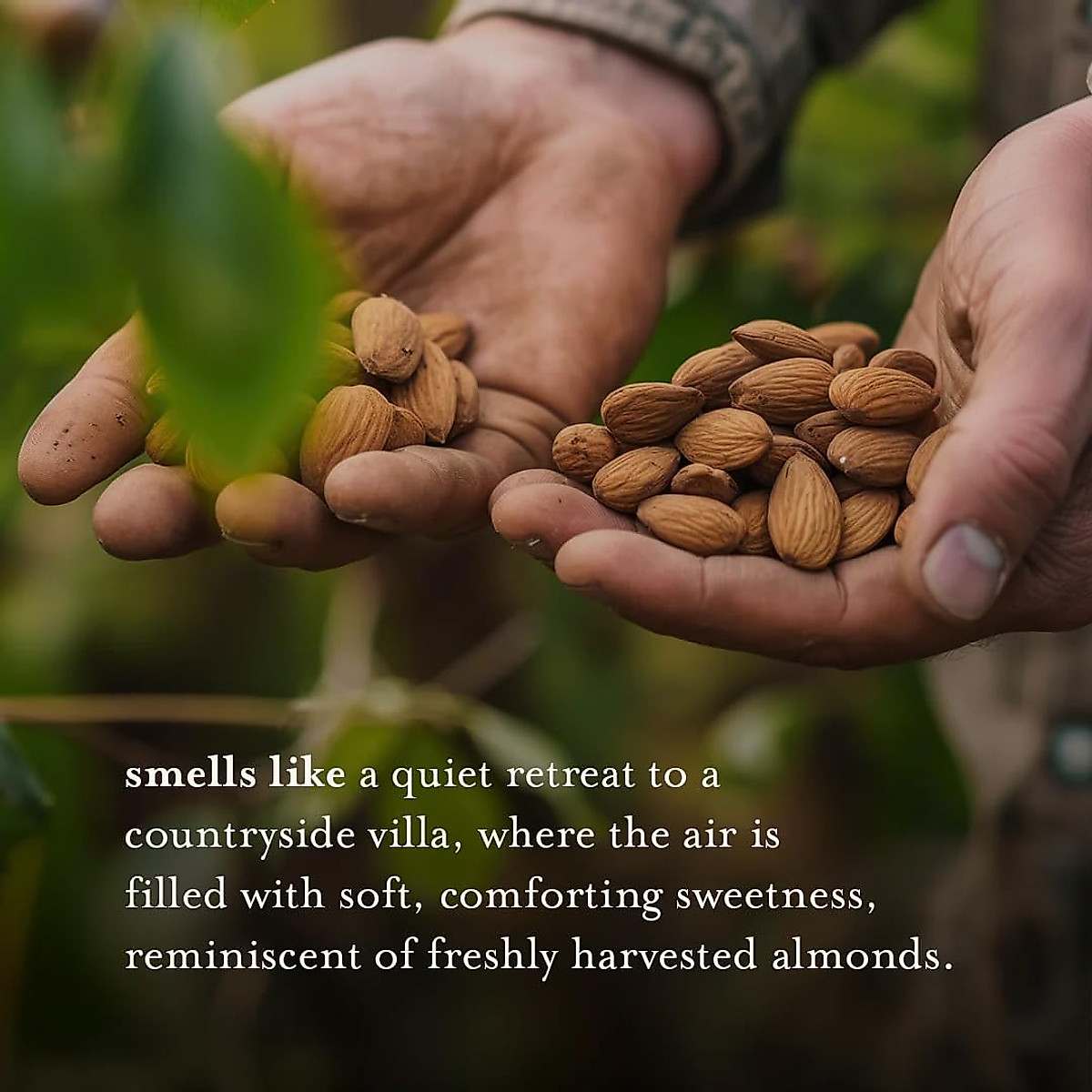 A LA MAISON Sweet Almond Bar Soap - Triple French Milled Natural Moisturizing Hand Soap Bar (4 Bars of Soap, 3.5 oz)