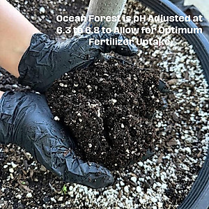 FoxFarm FX14053 Ocean Forest Potting Soil Mix for Indoor and Outdoor Plants 12 qt (1ct), Platinum Horticulture Plastic Grow Bags 1 Gal (8ct), Garden Stake (8ct), Potting Soil Starter kit
