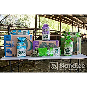 Standlee Premium Western Forage Timothy, 18oz Bag