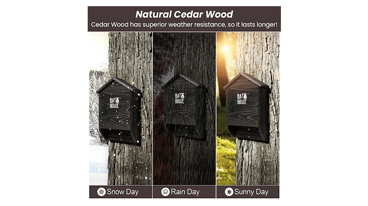 Big Bat House 15" Cedar - Safe Bat Roost & Natural Insect Control