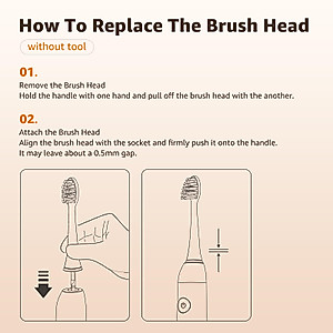 LOOBANI 2 Packs Dog Tooth Brush Replacement - Compatible LBHC001 Dog Tooth Cleaner, White