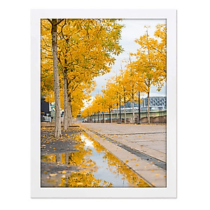 Golden State Art, Solid Wood 16x20 Wooden Picture Frame - for 16x20 Photos, 1-1/4-Inch Wide with Real Glass - Horizontal and Vertical Wall Display, Great for Engagement, Wedding, White, 1 Pack