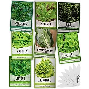 8 Leafy Garden Greens Seeds for Planting Individual Packets - Arugula, Collards, Spinach, Swiss Chard, Kale, Lettuce, Leafy and Butter Lettuce Seeds for Your Heirloom Salad Garden by Gardeners Basics