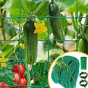 Garden Trellis Netting for Climbing Plants Outdoor, 6.6x16.4 FT Plant Netting for Cucumber, Tomato, 27 Strands Trellis Net with 4x4 Inch Mesh as Vegetable Netting for Grape, Bean